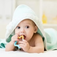 贝斯美零辅食微课堂 