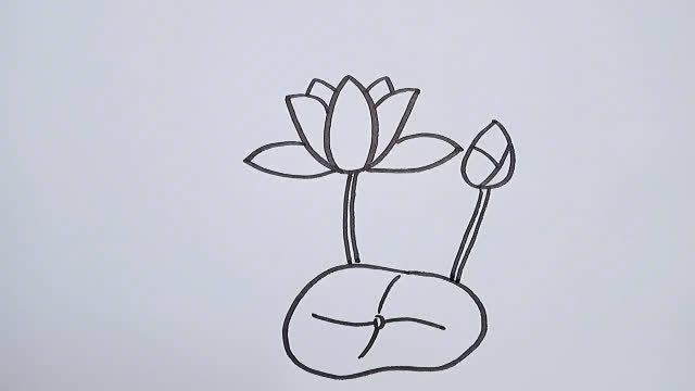 简单画荷花,亲子简笔画教学!