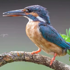 让你照片更出色 