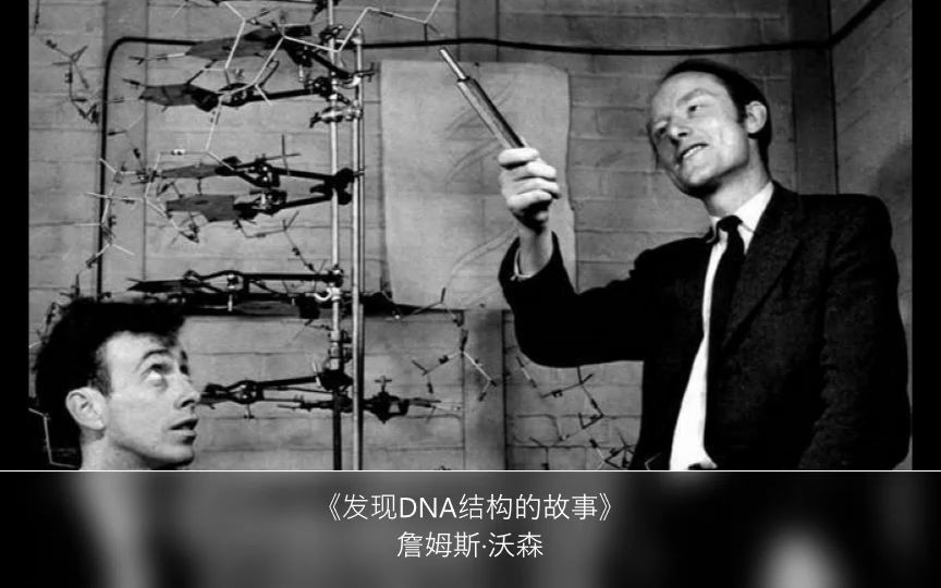《发现DNA结构的故事》沃森