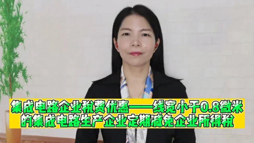 线宽小于0.8微米的集成电路生产企业定期减免企业所得税