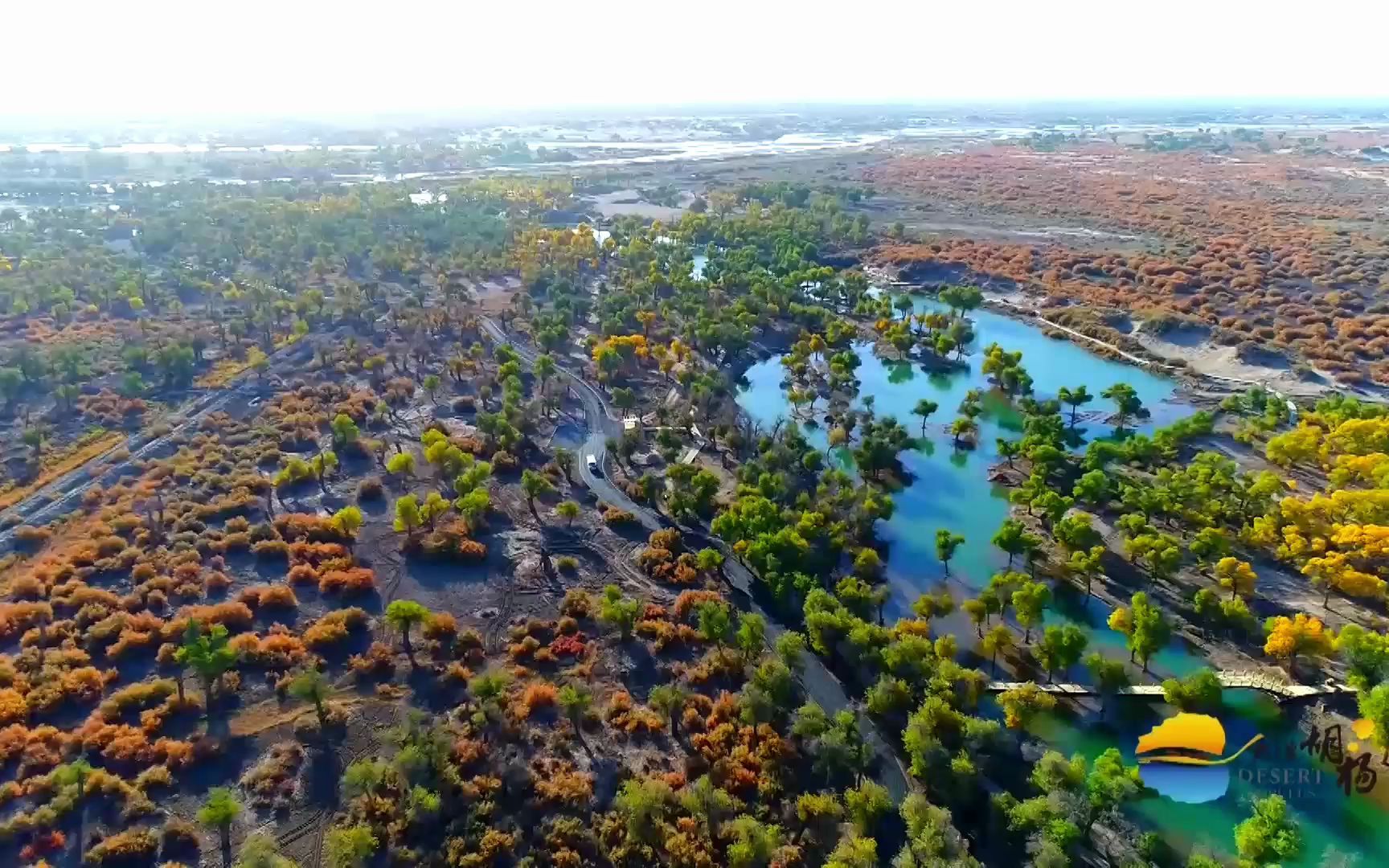 金色殿堂-额济纳旗胡杨林