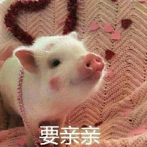 栩森oba 