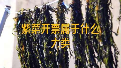 紫菜开发票竟然属于这个类别?会计必看冷知识!