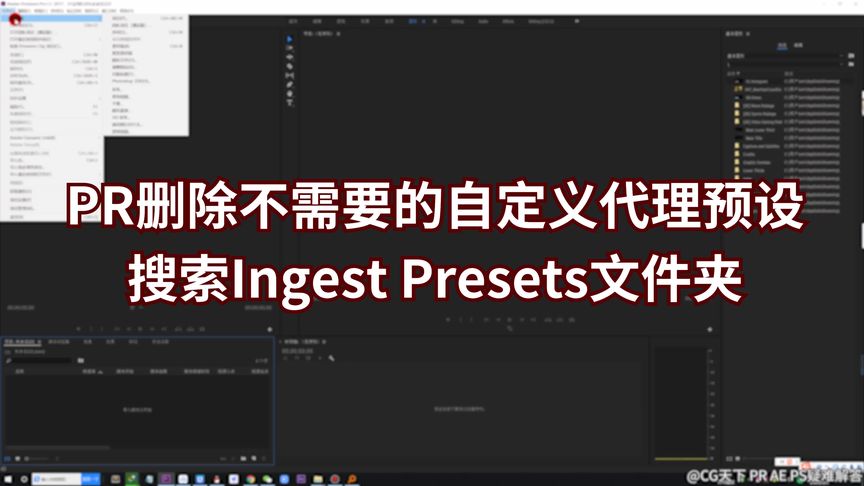 PR删除不需要的自定义代理预设-Ingest Presets文件夹里面删除