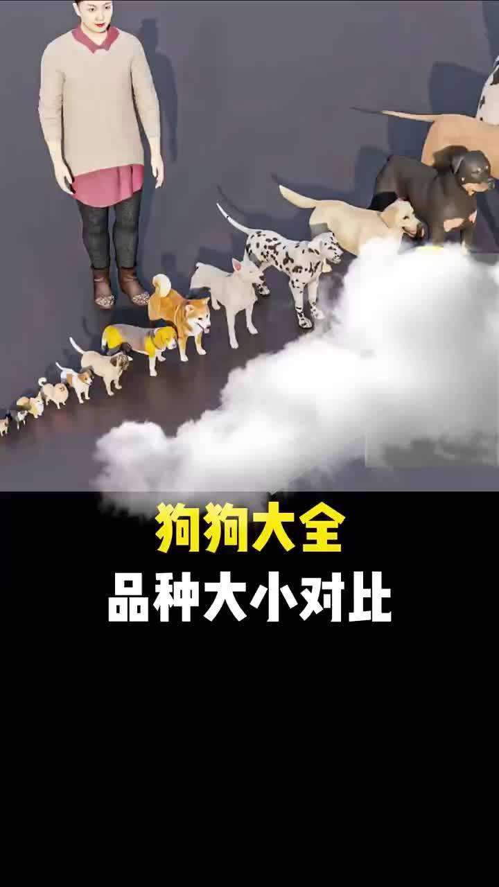 世界狗狗大全名犬品种大小对比谁最大