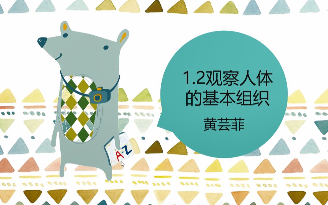 1.2观察人体的基本组织--上皮组织和结缔组织
