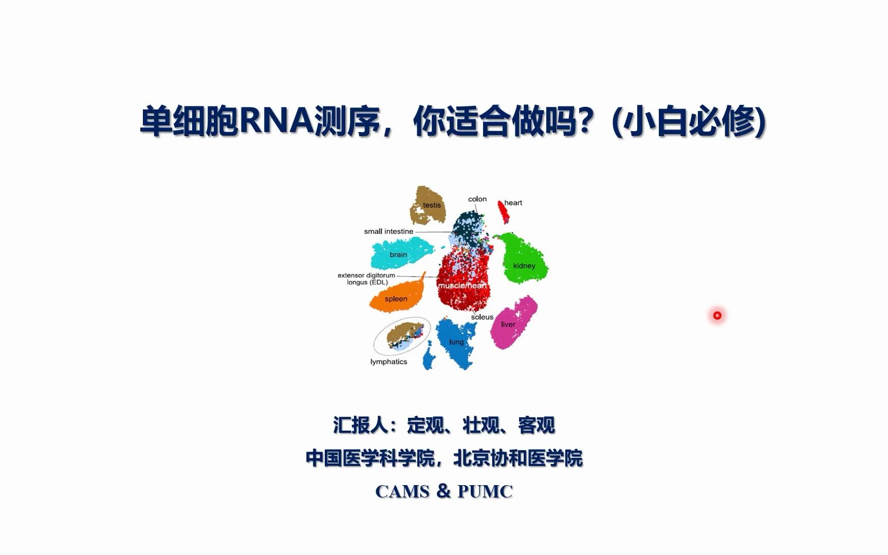 单细胞RNA测序,你适合做吗?(小白必修)