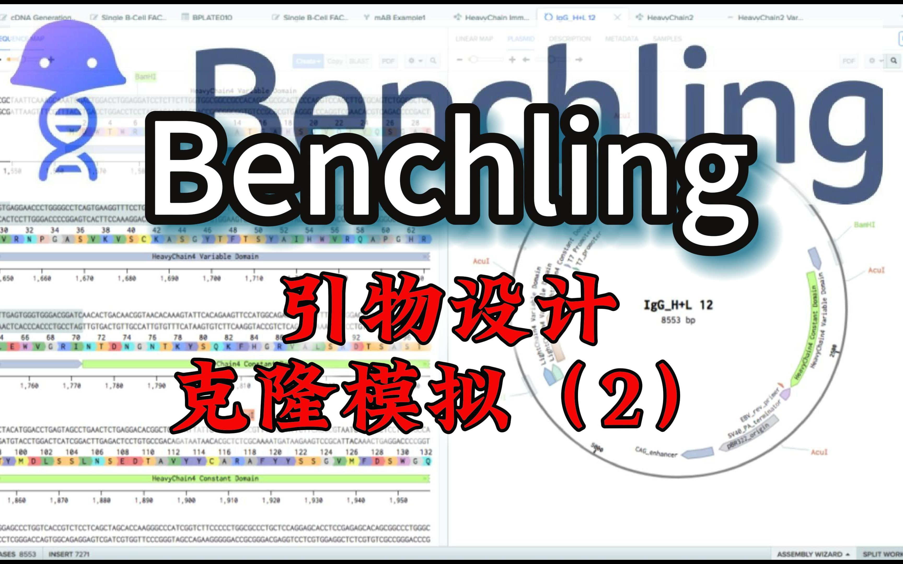 如何使用Benchling在线进行引物设计和克隆模拟(2)