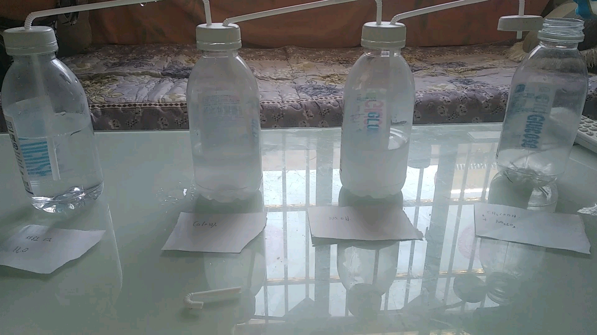 在家就能做的证明除去二氧化碳简单小实验(看简介)