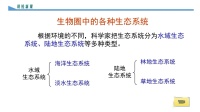 第二节 生态系统的能量流动和物质循环+第一节 生物圈中的各种生态...
