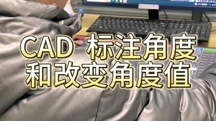 CAD标注角度和改变角度值
