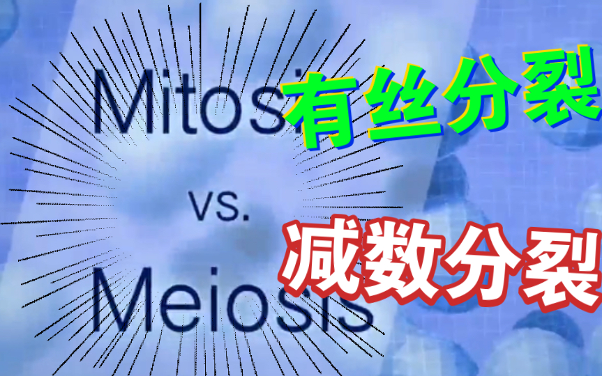 【高中生物动画演示】减数分裂与有丝分裂对比(字幕版)