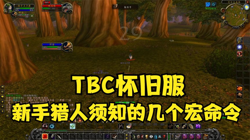 魔兽世界怀旧服:新手猎人实用宏命令(绑定宠物攻击技能)