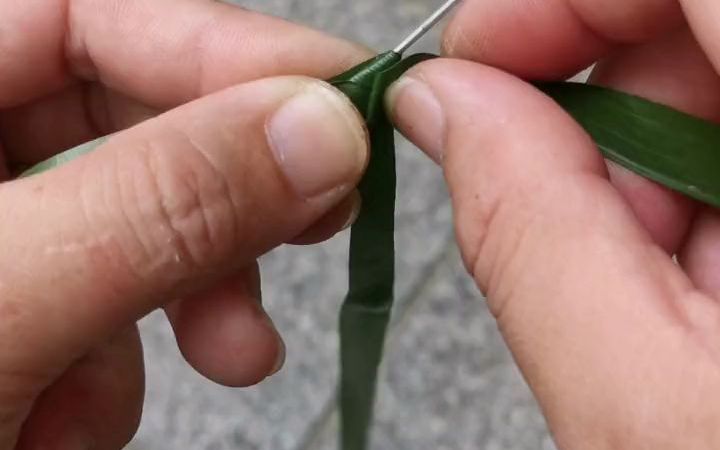 【非遗棕编教程】老家的棕榈叶大有用处,能编织好多昆虫动物