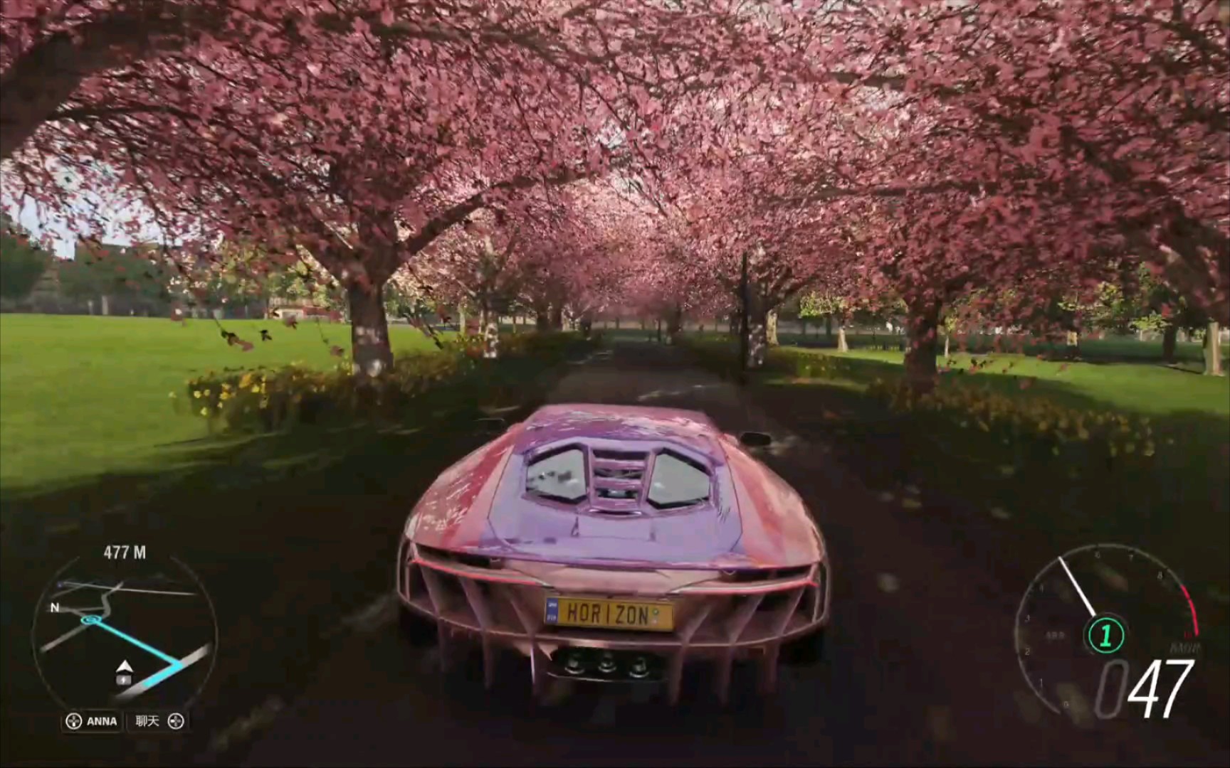 故乡的樱花开了,你不回来看看吗?_地平线4