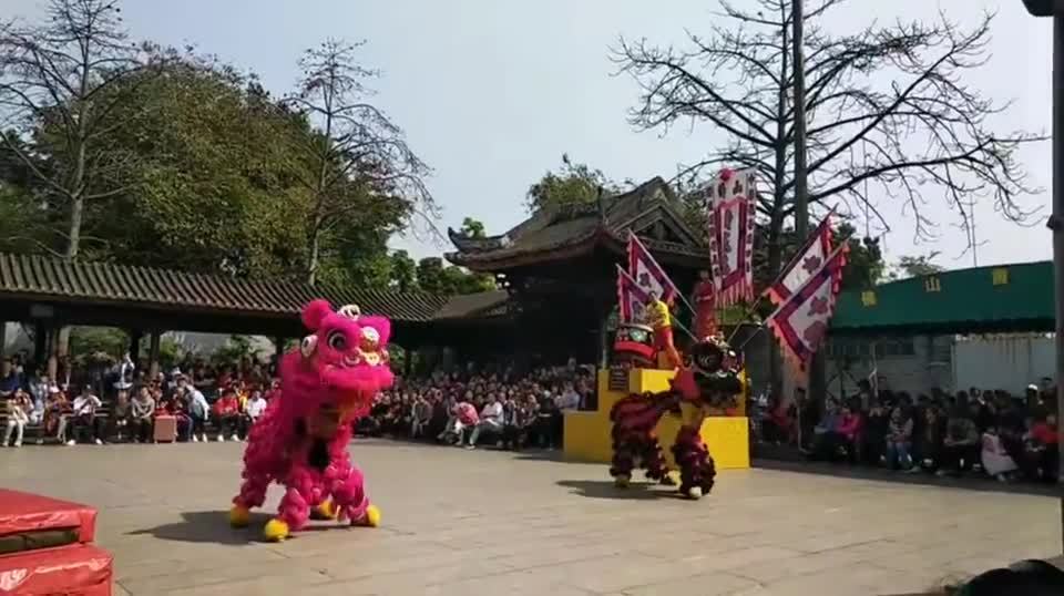 广东佛山醒狮表演......