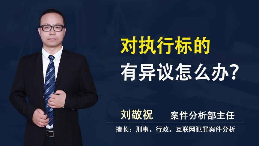 对执行标的有异议怎么办?