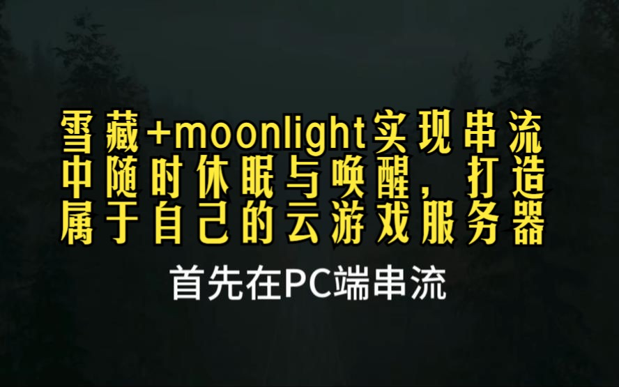 将你的PC变为云游戏推流服务器,使用moonlight+雪藏实现跨平台无缝...