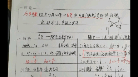 分步骤突破分离规律中自交与自由(随机)交配类问题