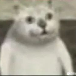 四脚小球 