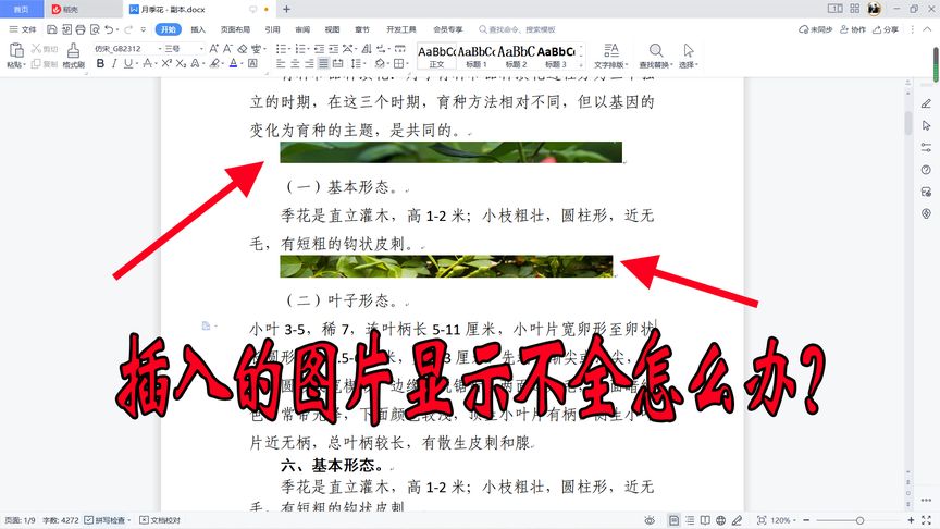 WPS文档插入图片显示不全,只显示底部很窄的一块怎么办?