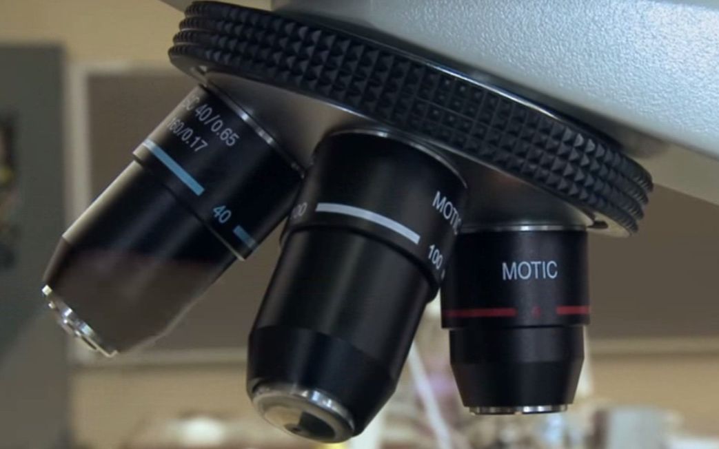 麦克奥迪MOTIC 老款B1系列生物显微镜产品展示