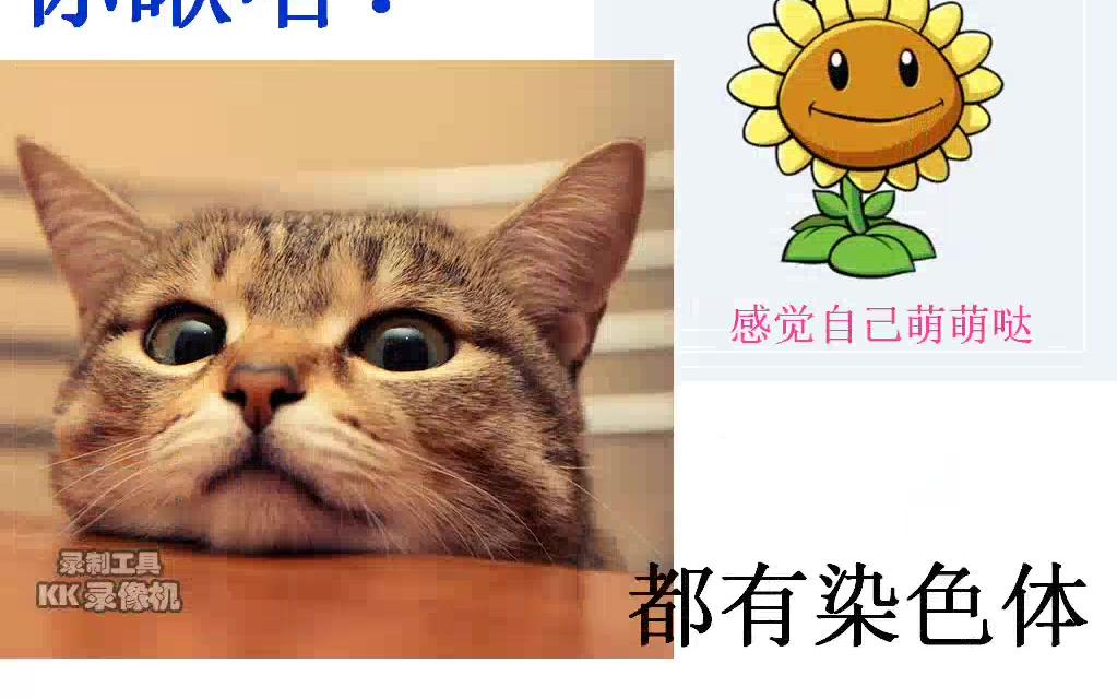 DNA是主要遗传物质(主体部分)