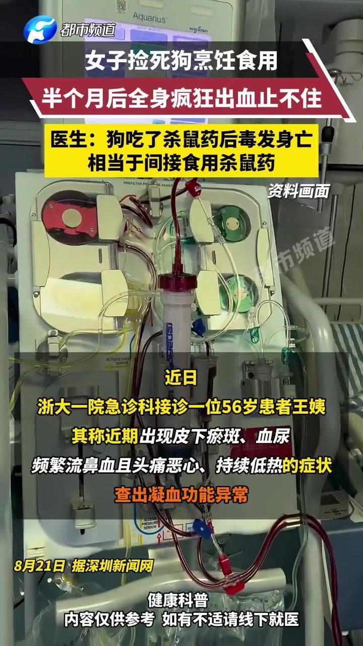 女子捡死狗烹饪食用后中毒。医生:狗吃了杀鼠药后毒发身亡,相当于...