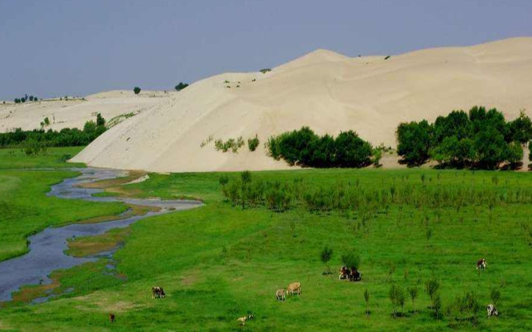 如果所有的沙漠变成森林,对地球什么影响,说出来你都不敢相信