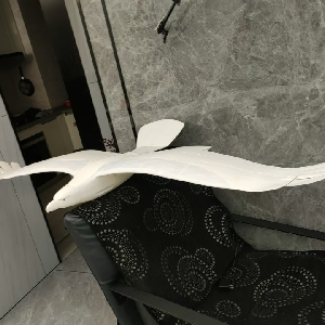 福州林先生 