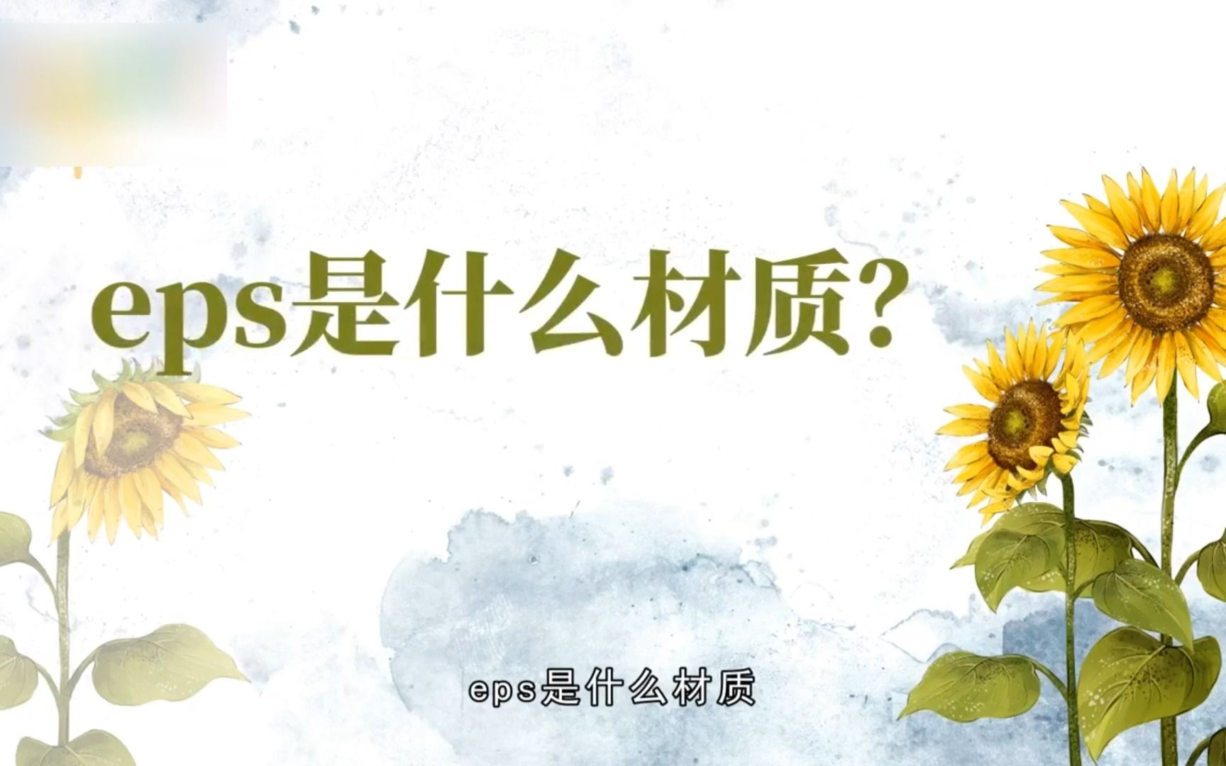 eps是什么材质,eps的材质