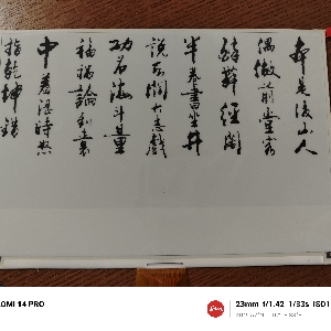 祁连山的来客 