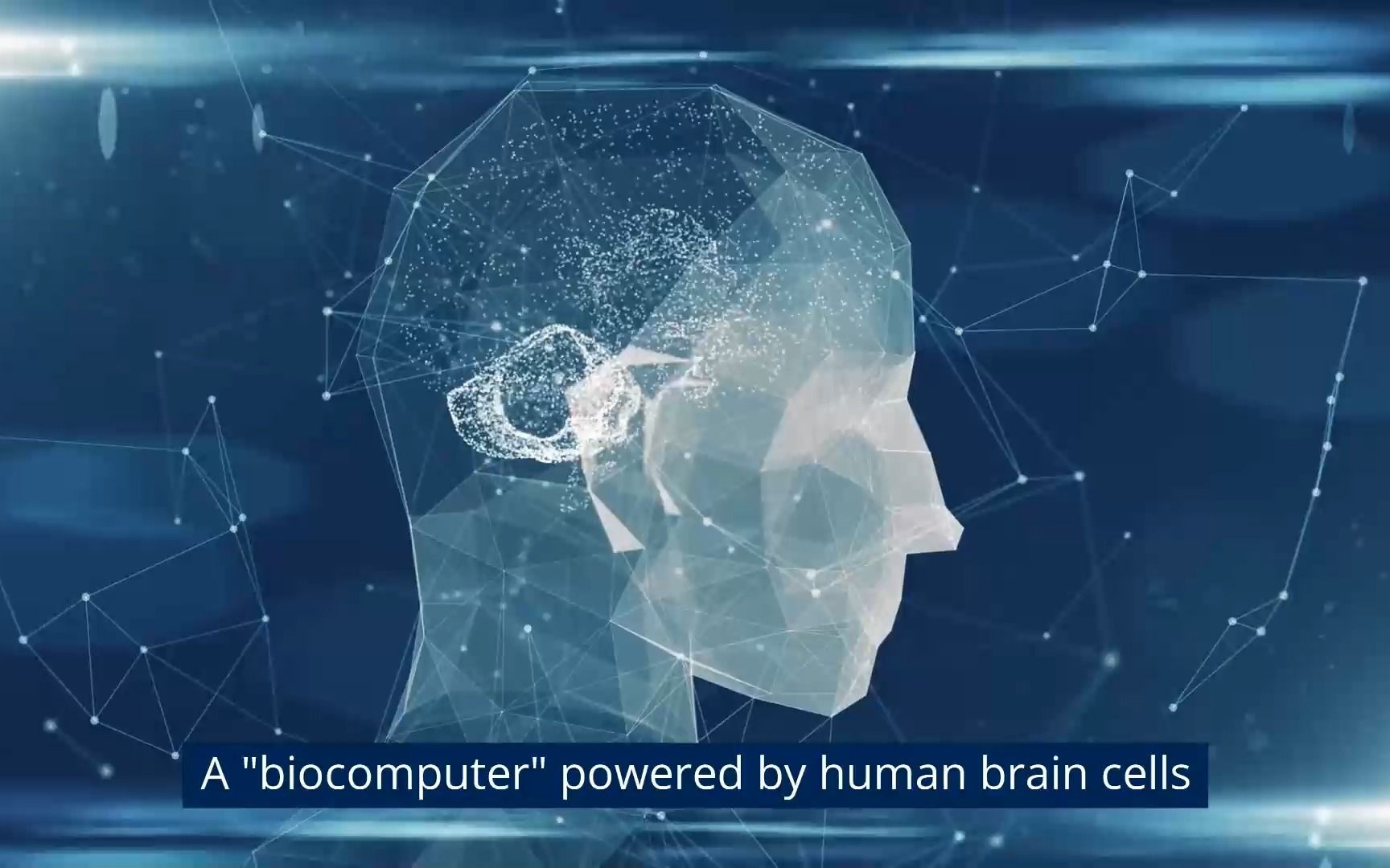 未来的计算机能否在人脑细胞上运行