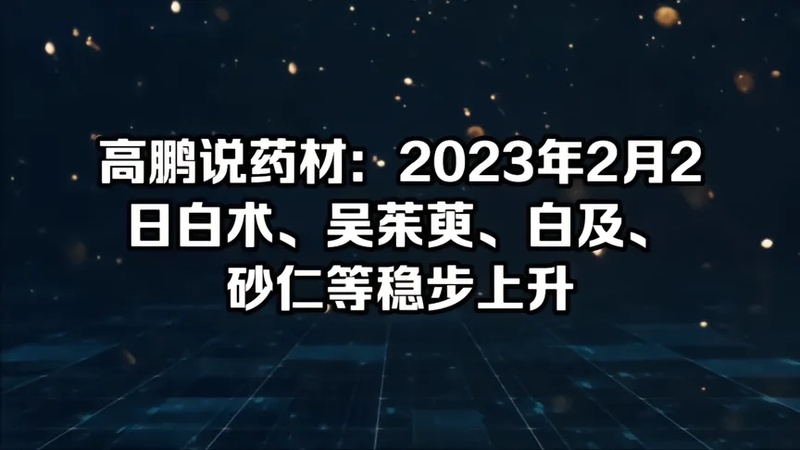 高鹏说药材:2023年2月2日白术、吴茱萸、白及、砂仁等稳步上升