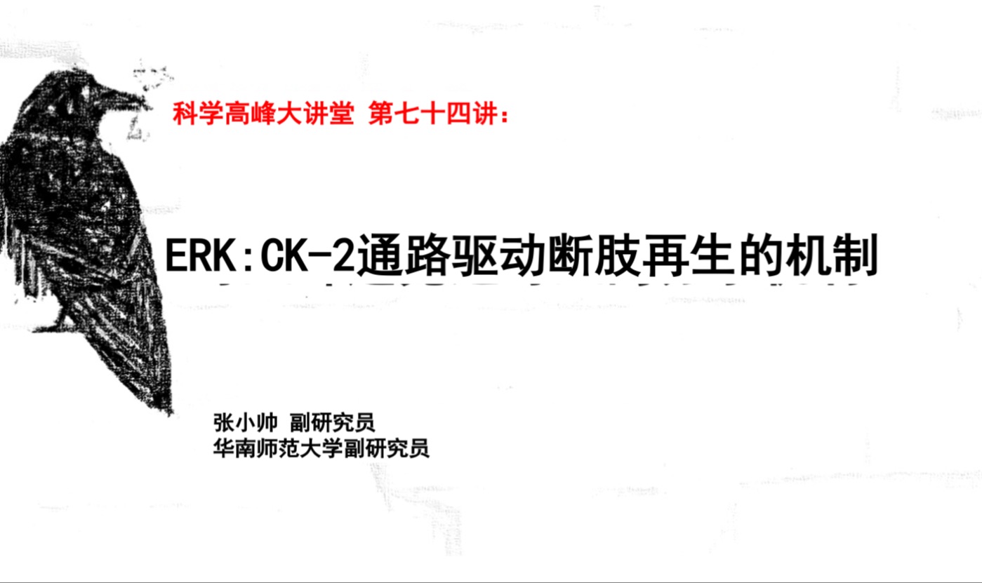 科学高峰大讲堂 第七十四讲:ERK:CK-2通路驱动昆虫断肢再生的机制