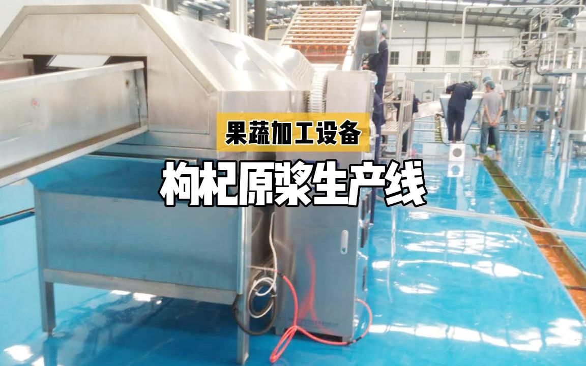 揭秘枸杞原浆生产工艺!实拍青海枸杞加工车间,从枸杞鲜果到原浆灌装,...