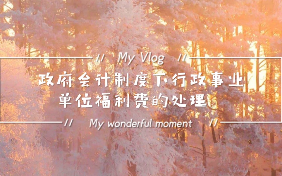 《政府会计制度》下,行政事业单位福利费用的操作处理!