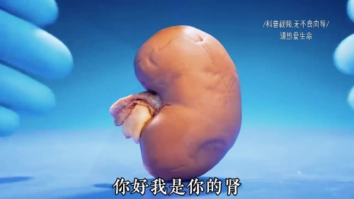 当你过度使用肾会发生什么