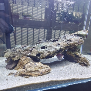 社群送温暖 