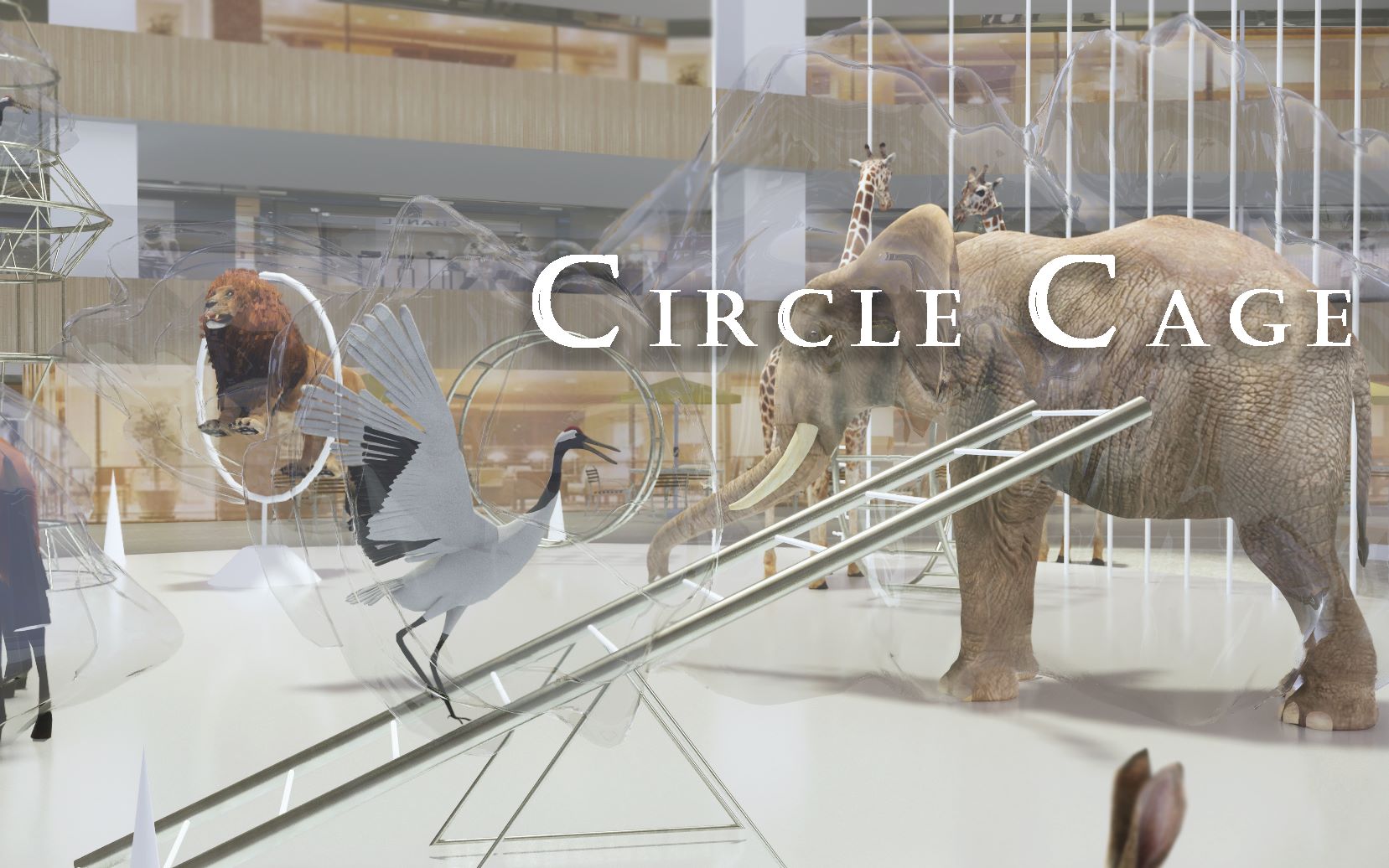 CIRCLE·CAGE 动物标本 陈设艺术方案短片