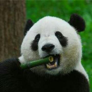 科技的殿堂 