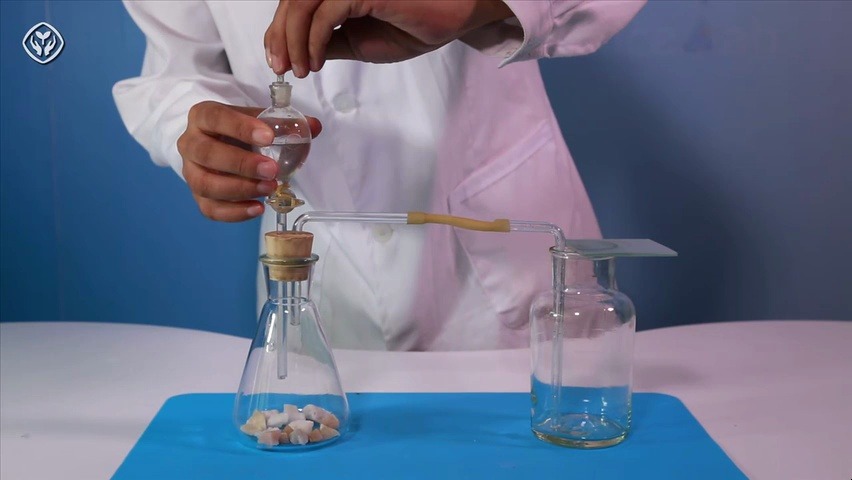 43 第6单元 二氧化碳的实验室制取与性质