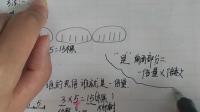 第4课时求一个数的几倍是多少