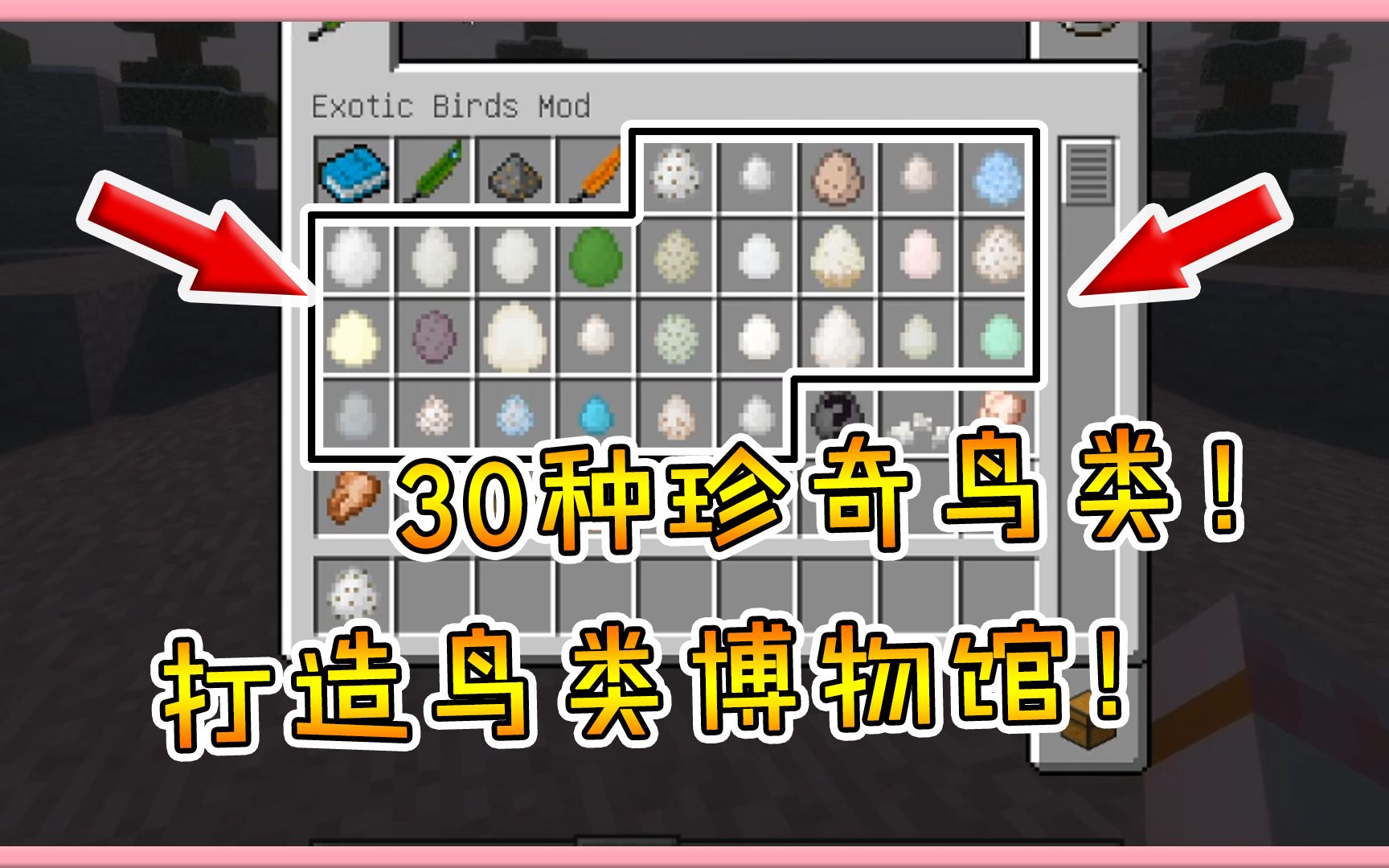 我的世界模组:30种珍奇鸟类!在MC中打造自己的鸟类博物馆!
