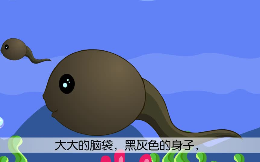 【完结 】二年级(上)语文动画.小蝌蚪找妈妈