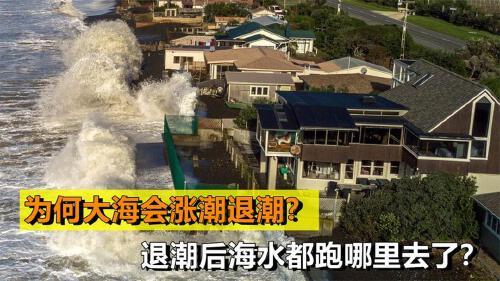 为何大海会有潮汐现象?涨潮时海水从哪里来?退潮后又往哪里去?