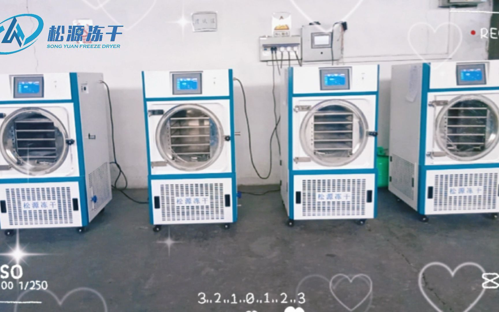 冷冻干燥机(冻干机)小型实验室型LG-06