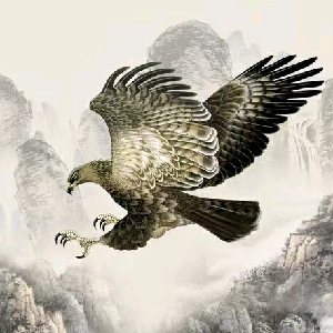 温柔体贴努力 