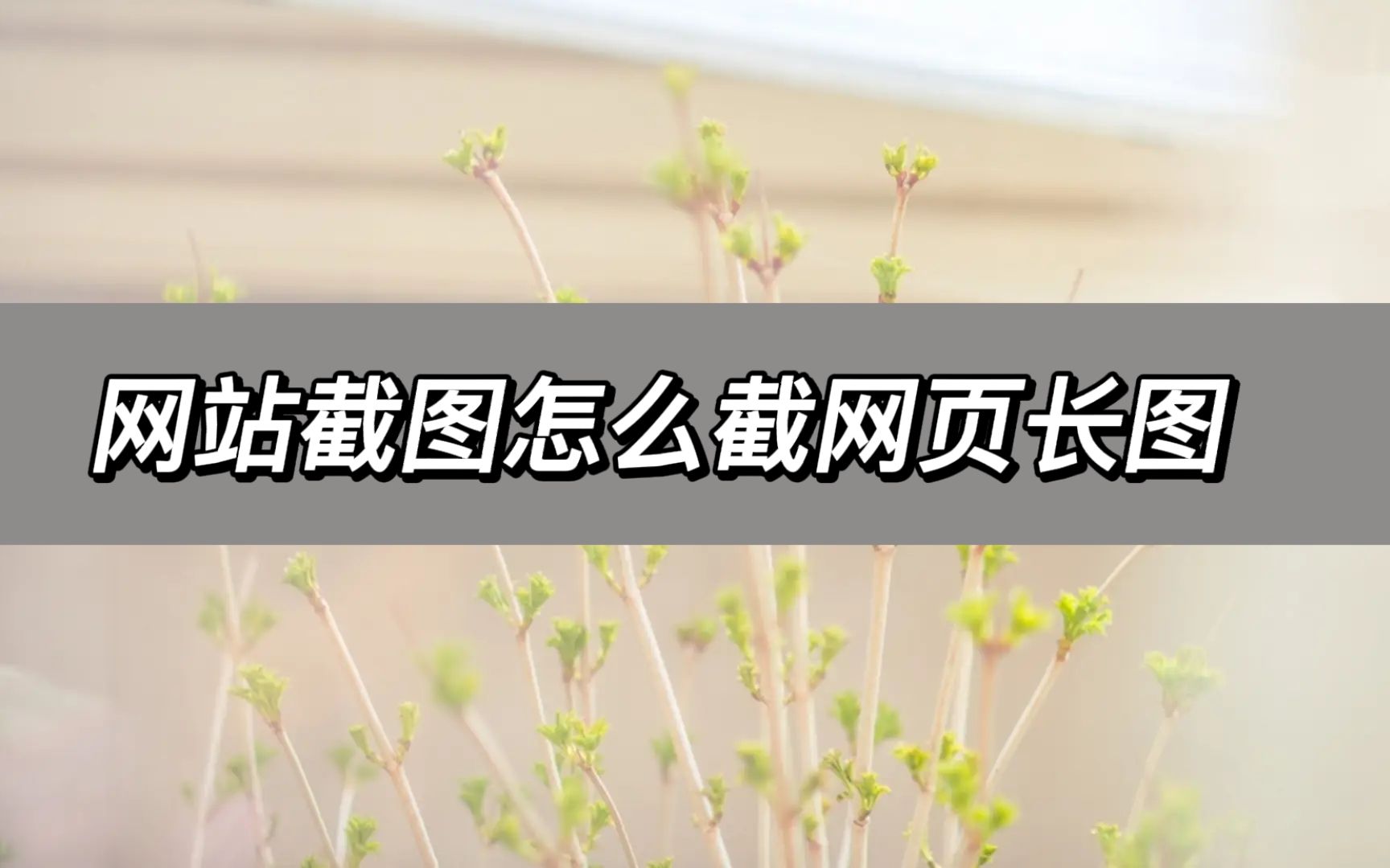 网站截图怎么截网页长图,分享一个方法